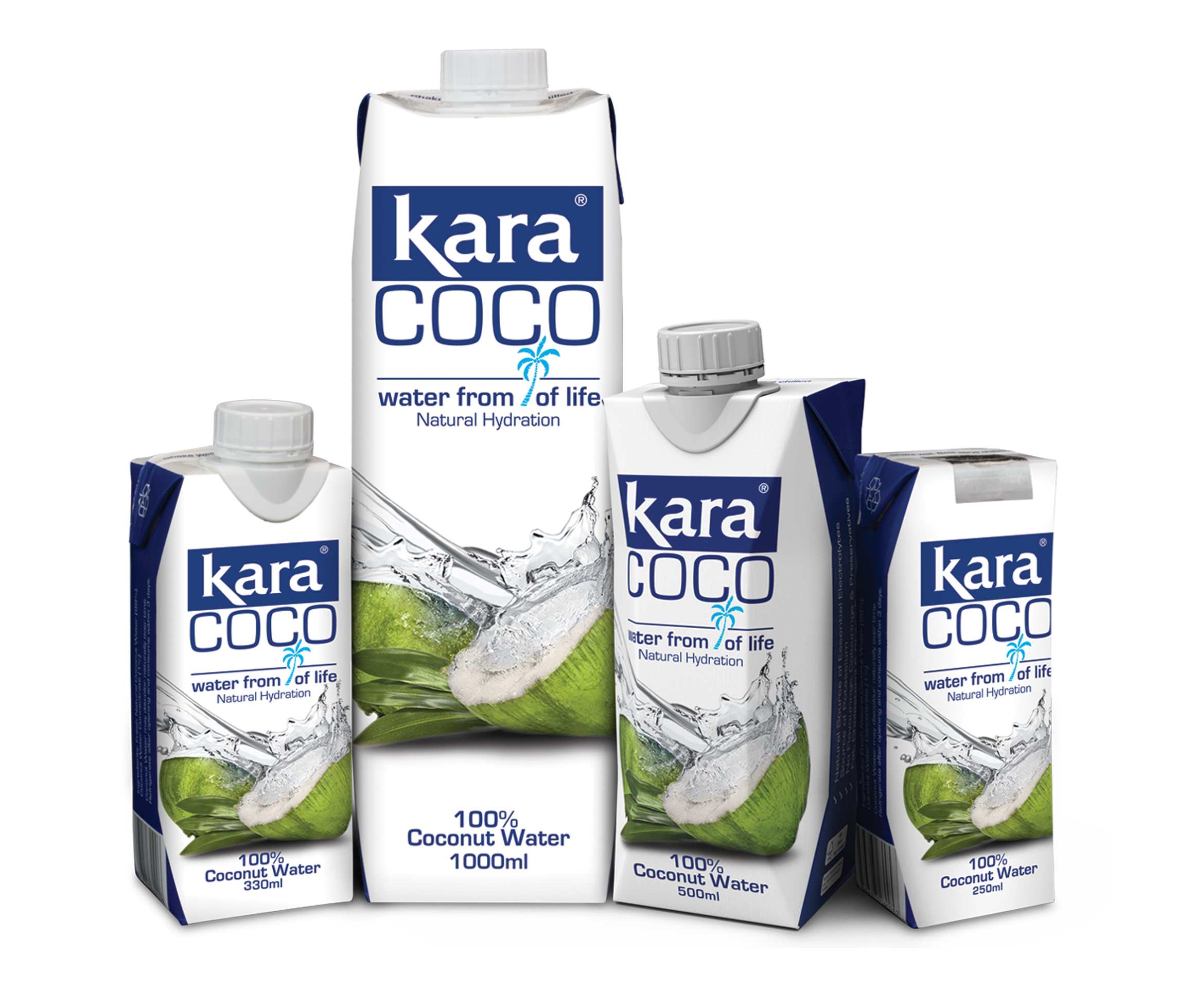 Coconut Cream, Milk, Water & Oil Singapore - KARA