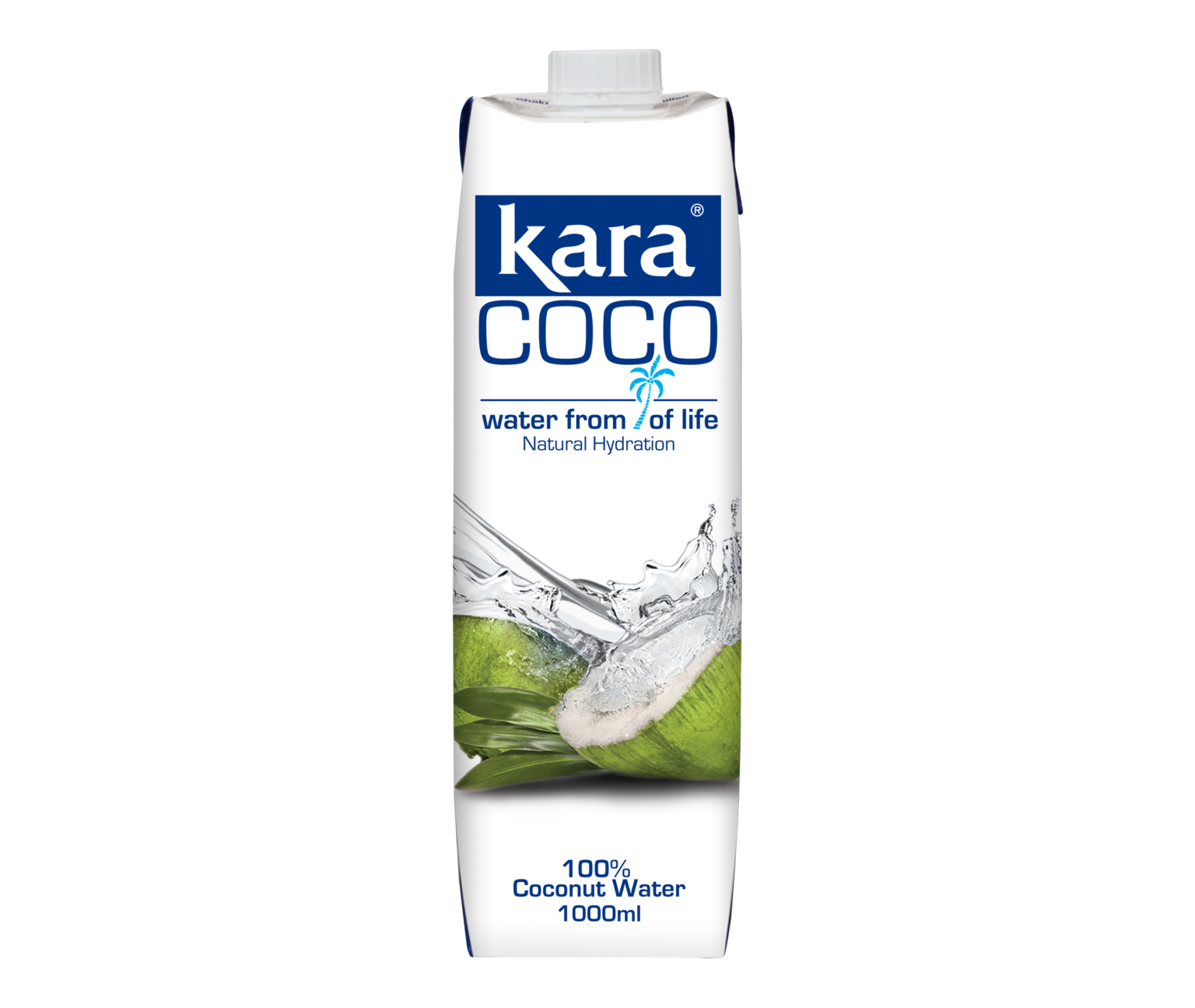 Coconut Milk Drink | Coconut Specialist – KARA