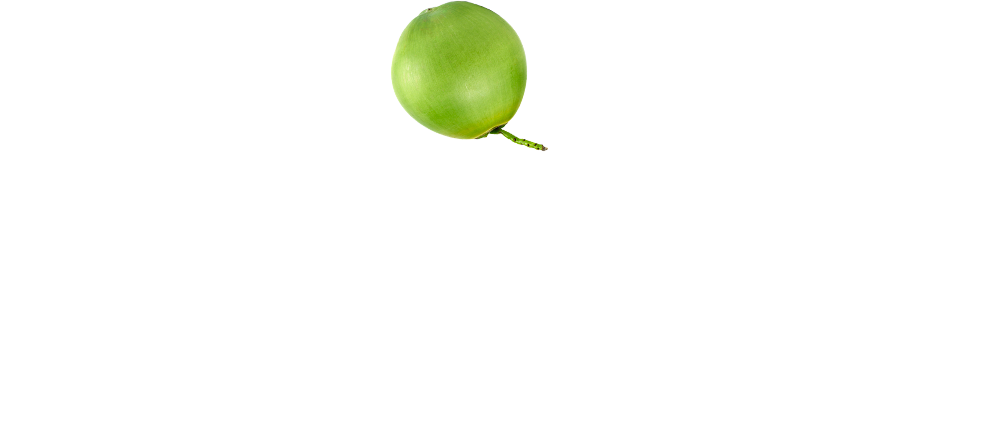 Coconut Cream, Milk, Water & Oil Singapore - KARA