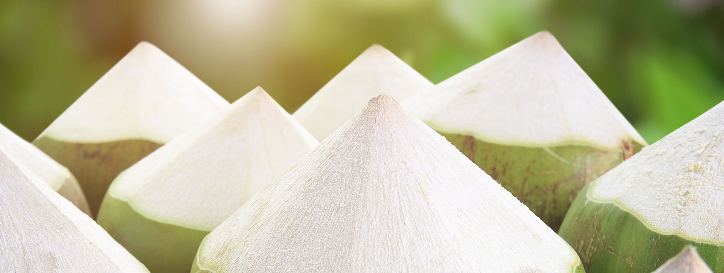 Fun Facts | The Coconut Specialist - KARA