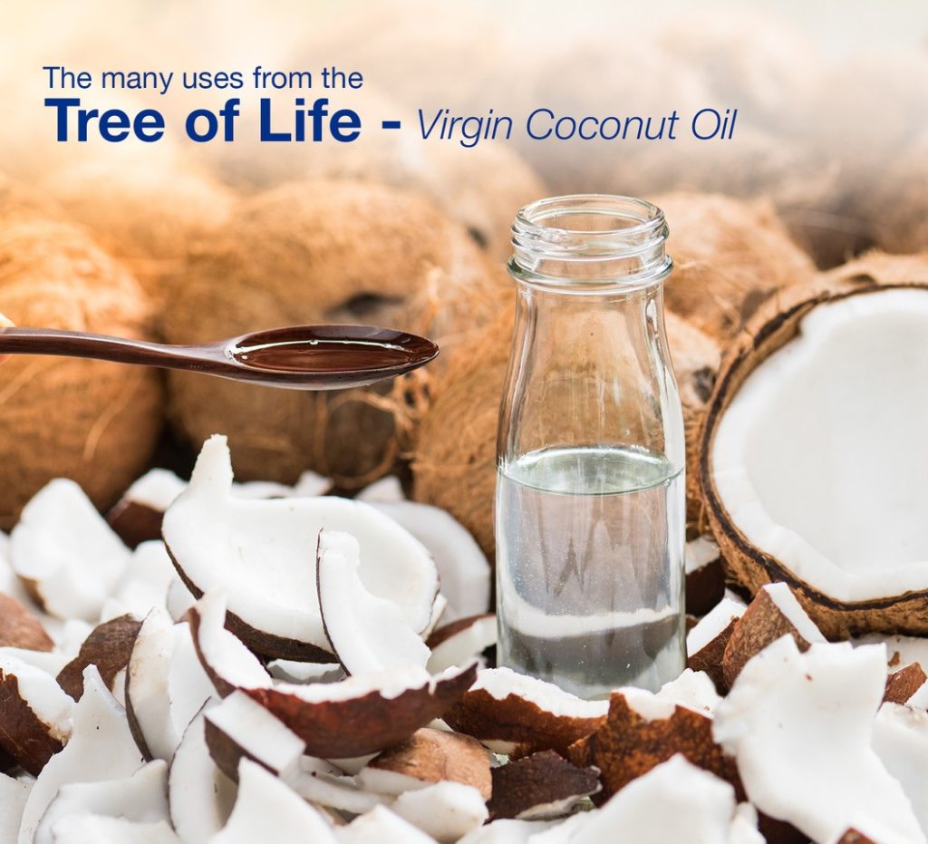 The many uses from the Tree of Life - Virgin Coconut Oil - KARA