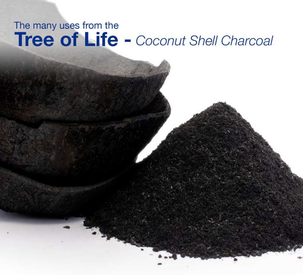 The many uses from the Tree of Life – Coconut Shell Charcoal - KARA