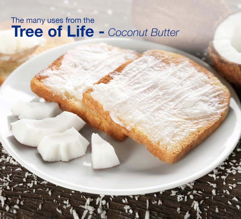 The many uses from the Tree of Life – Coconut Butter - KARA